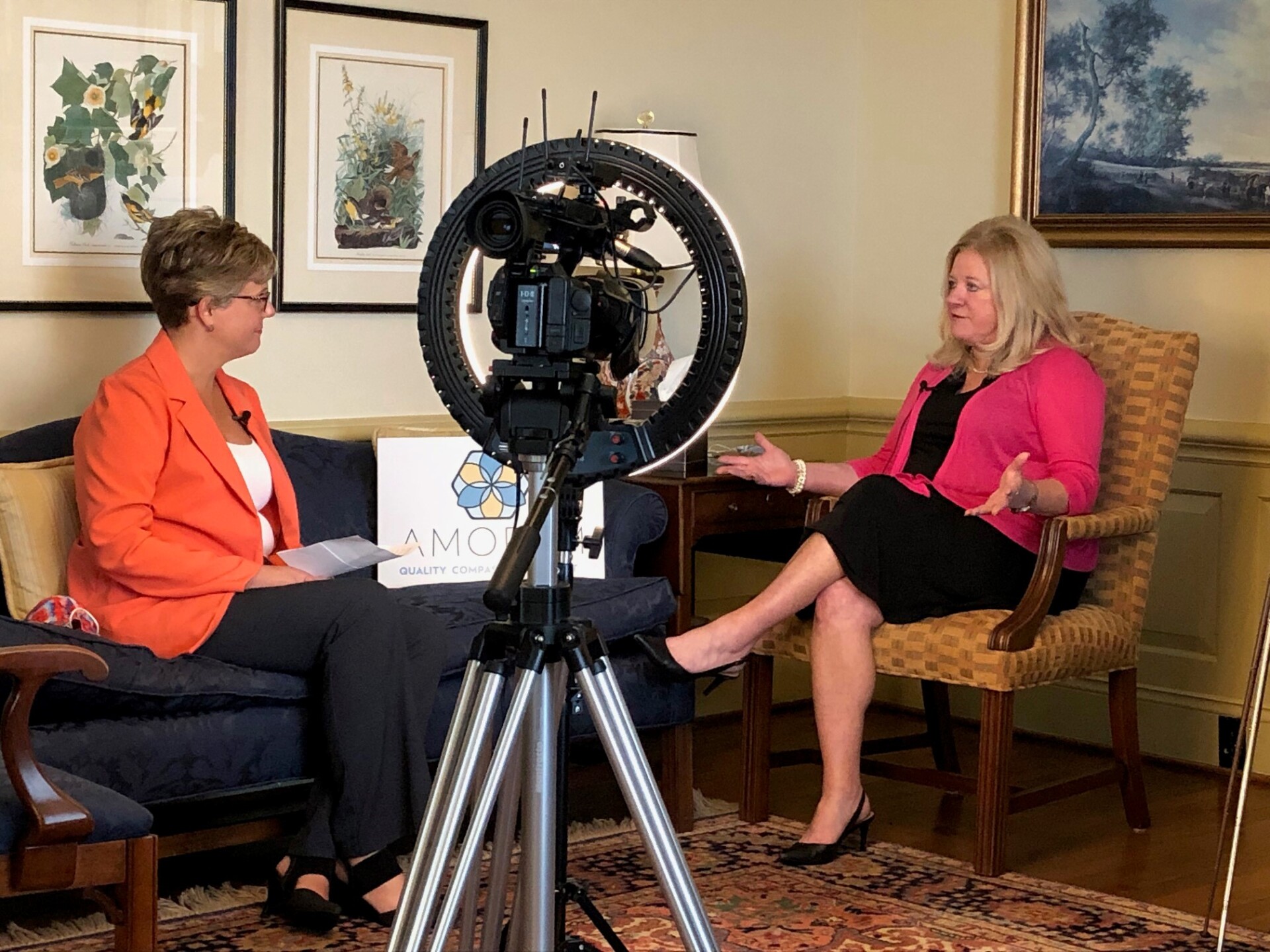 News | Amorem Support